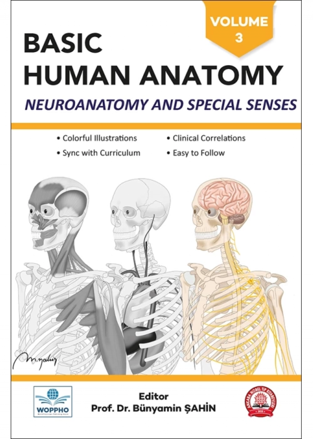 Basic Human Anatomy SET 3LÜ- BASICANATOMY01