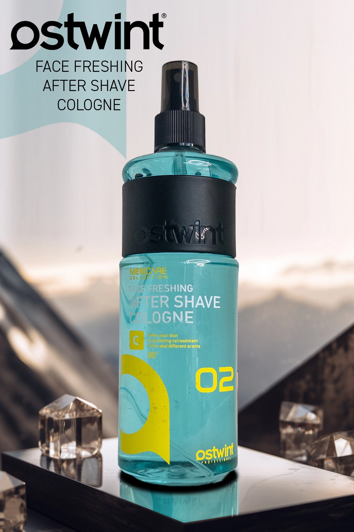 Preference of Professional Hairdressers and Cosmetics Enthusiasts with ...