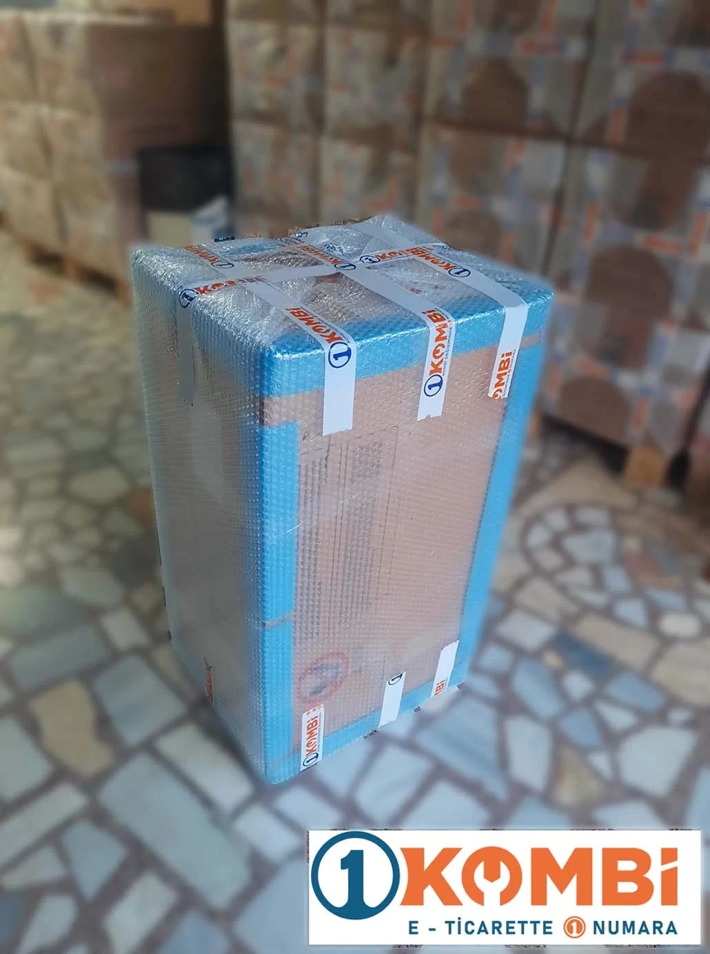 E.C.A. Proteus Premix 28 Kw Kombi