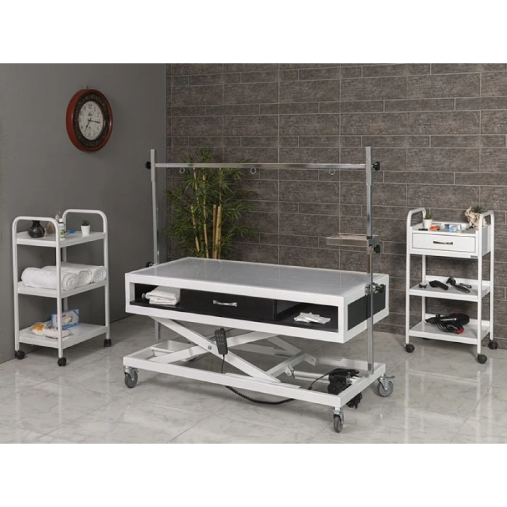 Veteriner Röntgen X Ray Masası 6204 | Motorlu Yükseklik Ayarlı ...