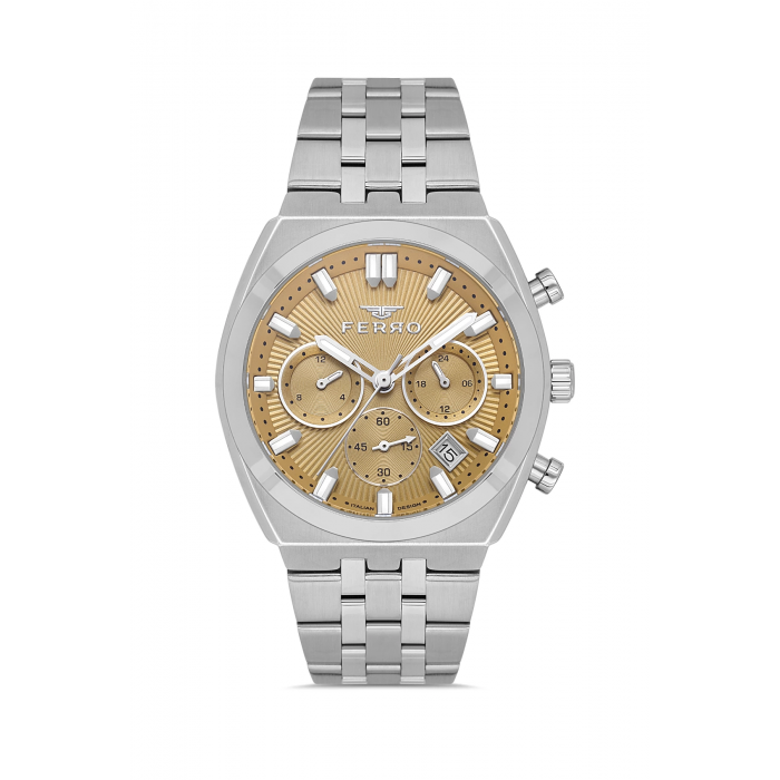 Ferro Gümüş Çelik Kordon Erkek Kol Saati FM43022A-A7