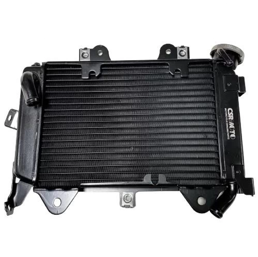 Bajaj Pulsar NS 200 Radyatör - 5636577326462