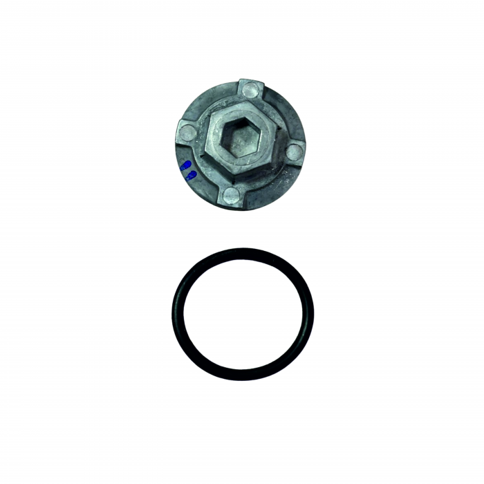 TVS Raider 125 Yağ Tapası ve Oringi Orijinal - N6080040-10