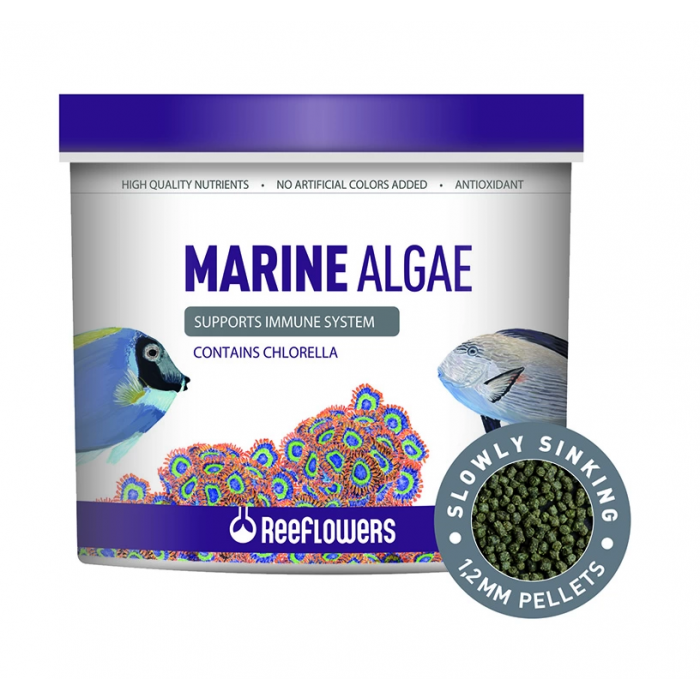 Reeflowers Marine Algae Pellet Tuzlu Su Balık Yemi 150 ml - mixpet.com.tr