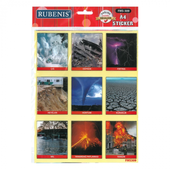 RUBENİS FELAKET RESİMLİ STİCKER