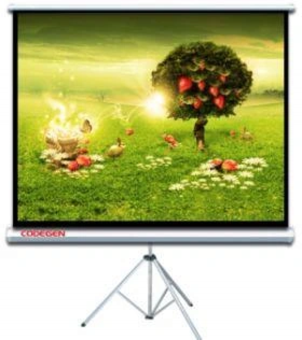 CODEGEN TX-20 200x200 Ayaklı Projeksiyon Perdesi
