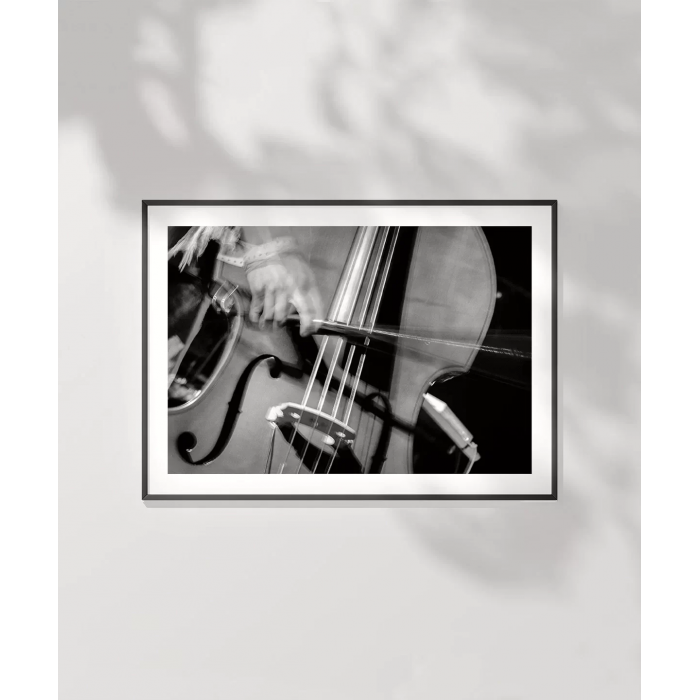 Stradivarius'un İzinde Poster Fiyatı - Vogloo.com