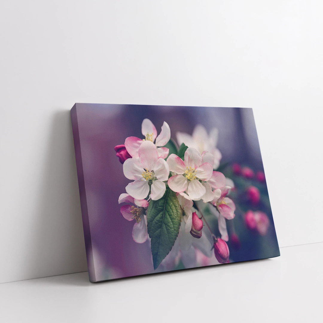 Elma Ağacı Çiçeği Kanvas Tablo Fiyatı - Vogloo.com