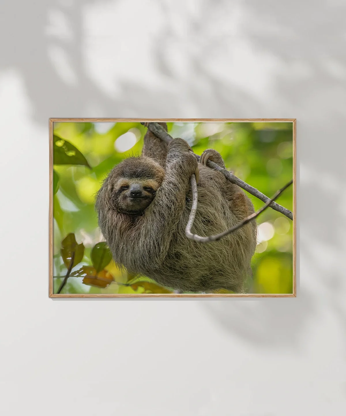 Tembel Hayvan Zamanı Poster Fiyatı - Vogloo.com