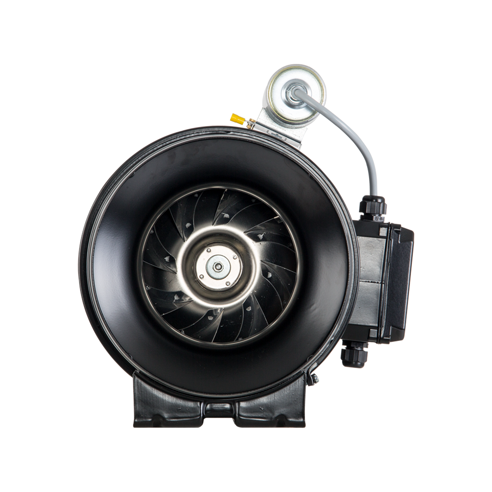 TD-ATEX Serisi TD-800/200 EX